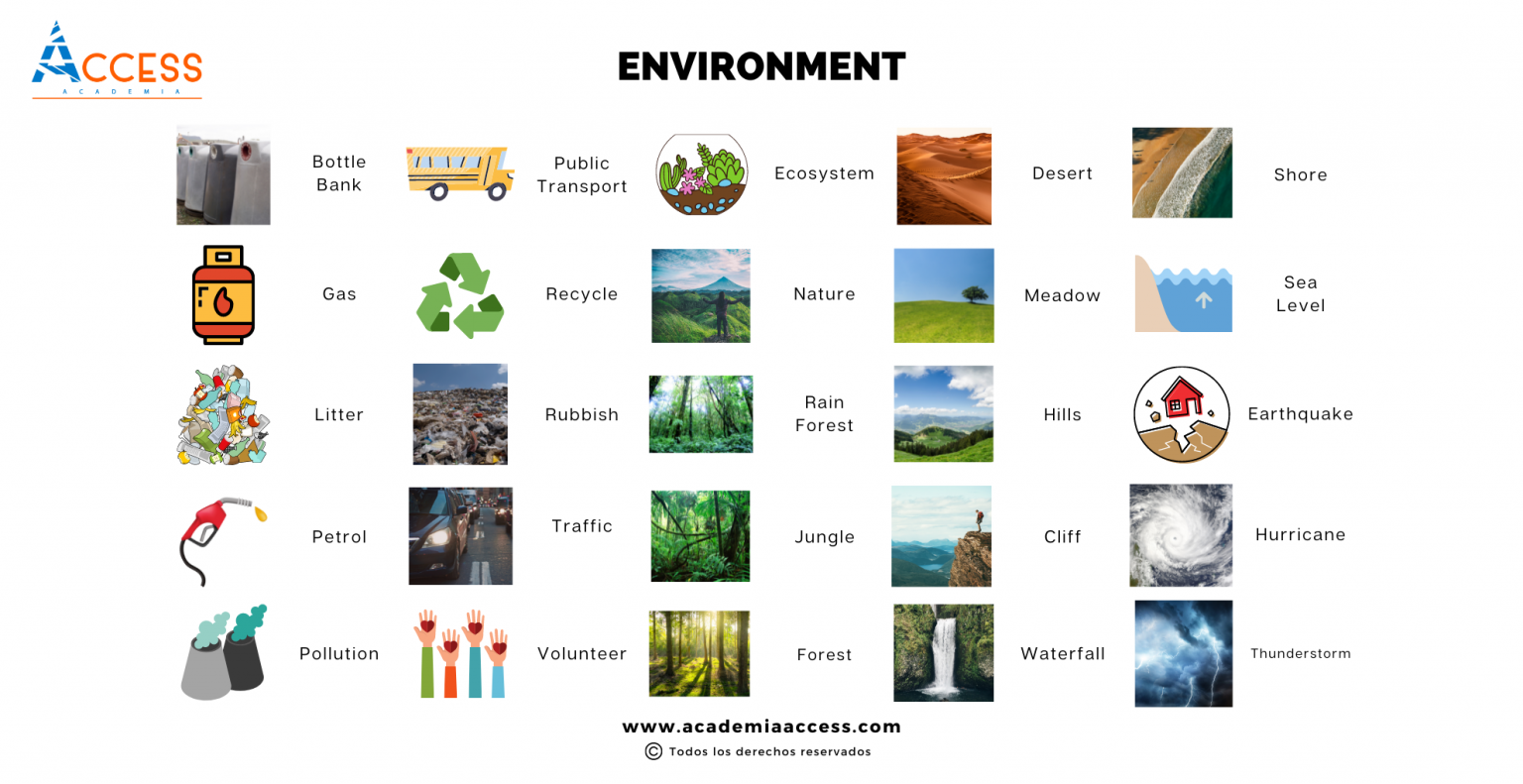 20 Preguntas Sobre El Medio Ambiente In English