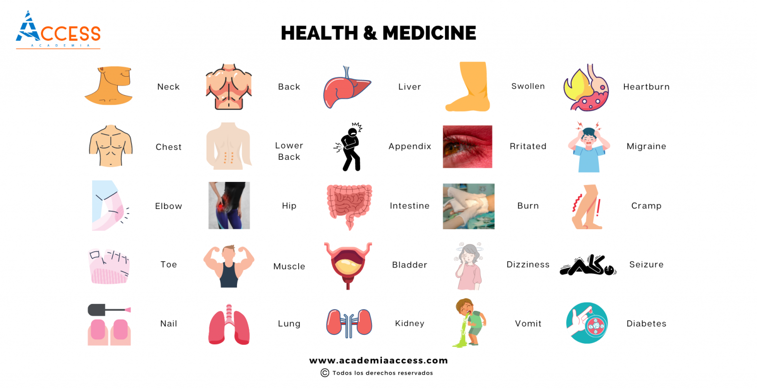 Vocabulario De Salud Y Medicina En Inglés Pdf Academia Access